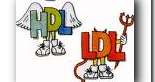 Utah Department Of Insurance Licensing: Hdl Business License Software